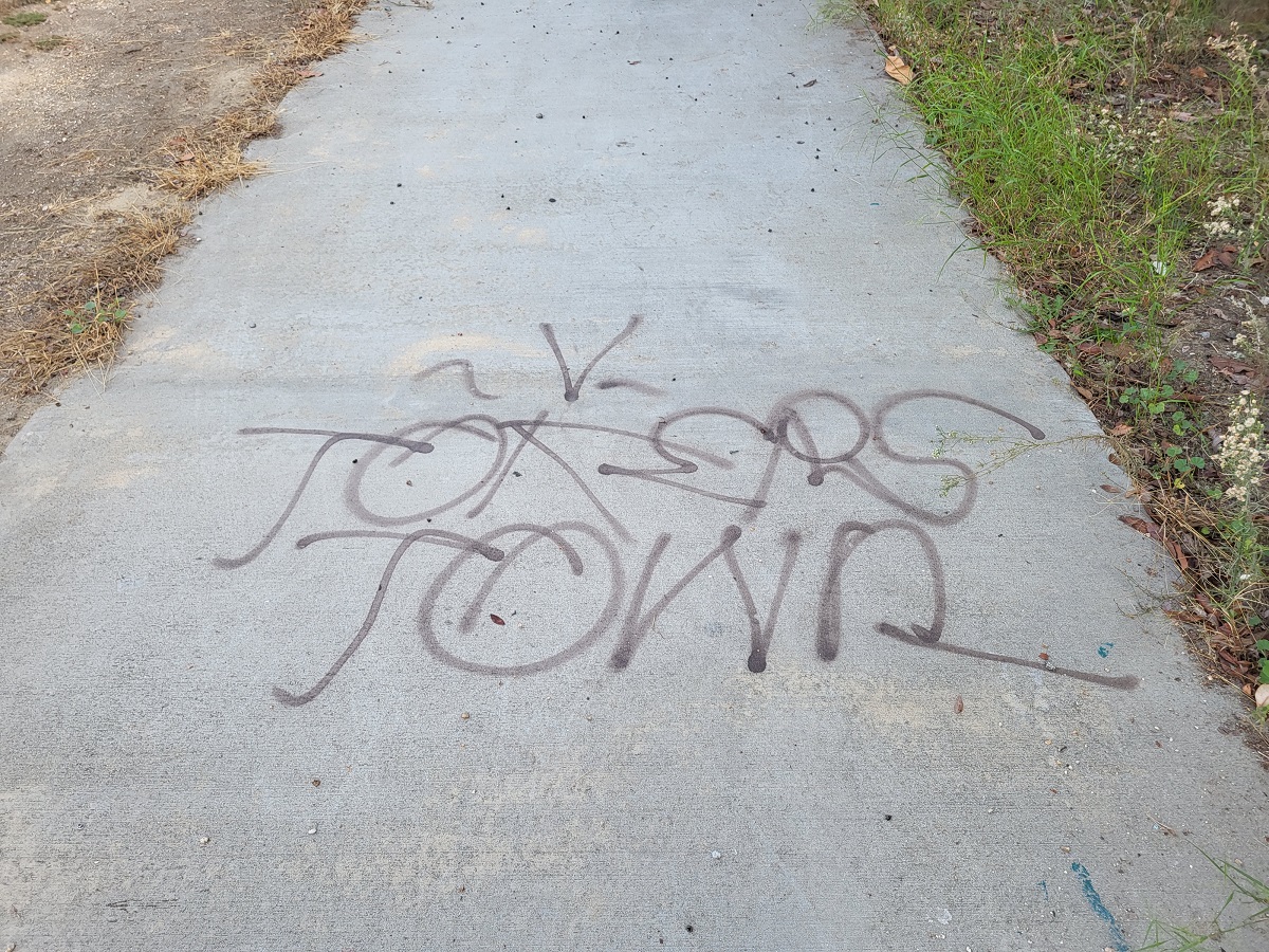 Friends For Fullerton's Future